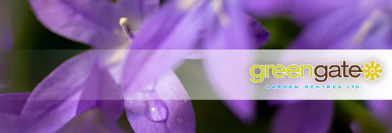 greengate Garden Centres Online Store