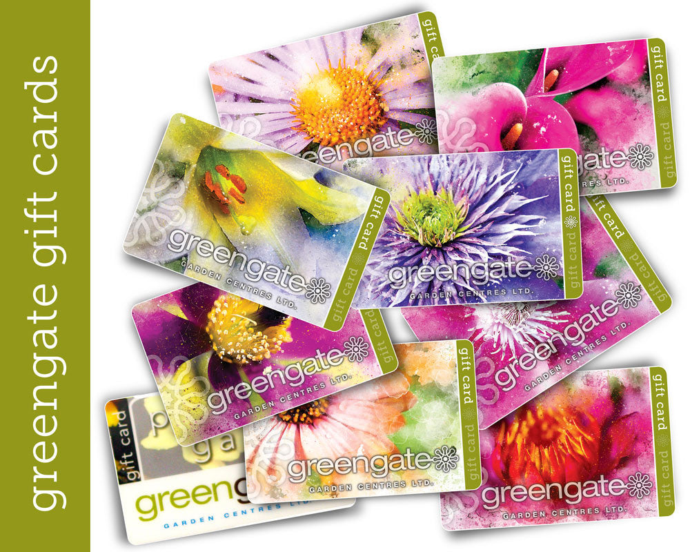 "Calla Lily" image - greengate Gardening Gift Card – greengate Garden ...